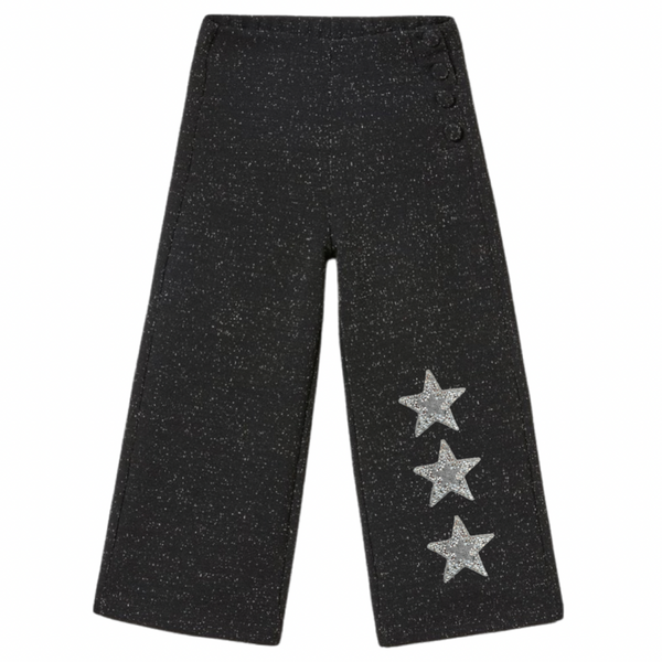 Ster Strass Strijk Embleem Patch Zilver Megamooinl